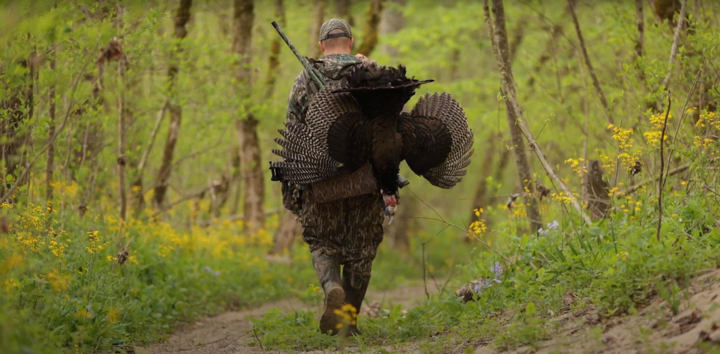 The Legacy of the Wild Turkey Remains Strong. | Benelli Shotguns and Rifles